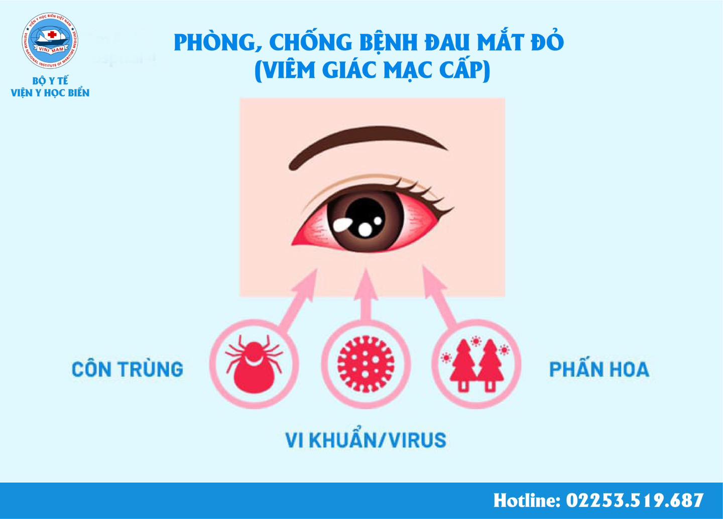 Bệnh đau Mắt đỏ Và Những điều Cần Biết Viện Y Học Biển Vietnam National Institute Of